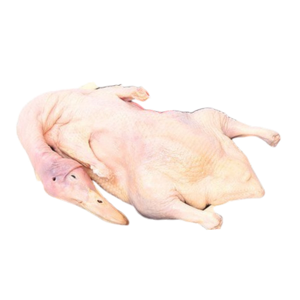 Whole Duck - Heng Rui Da (M) Sdn Bhd